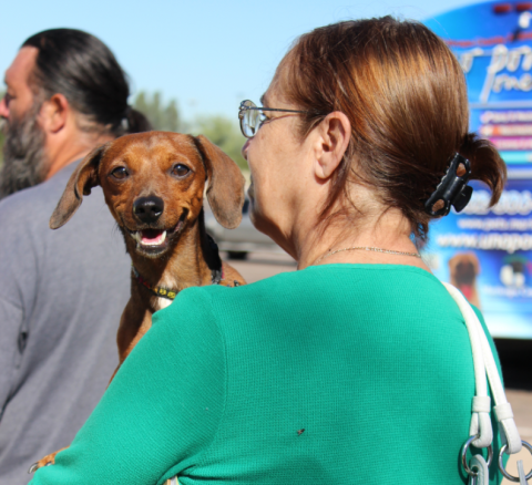 Who We Are | The Arizona Pet Project
