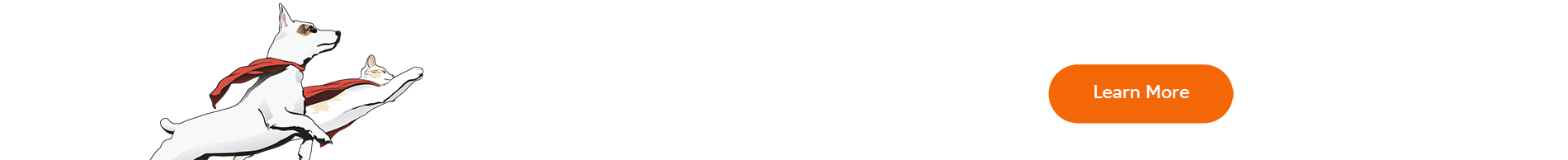 Home | The Arizona Pet Project