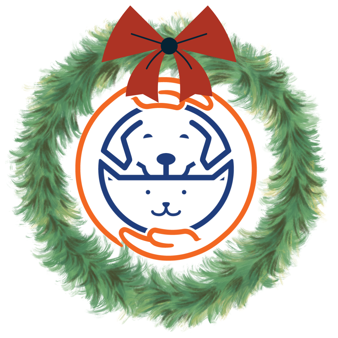 Keep them Home for the Holidays this Year! | The Arizona Pet Project
