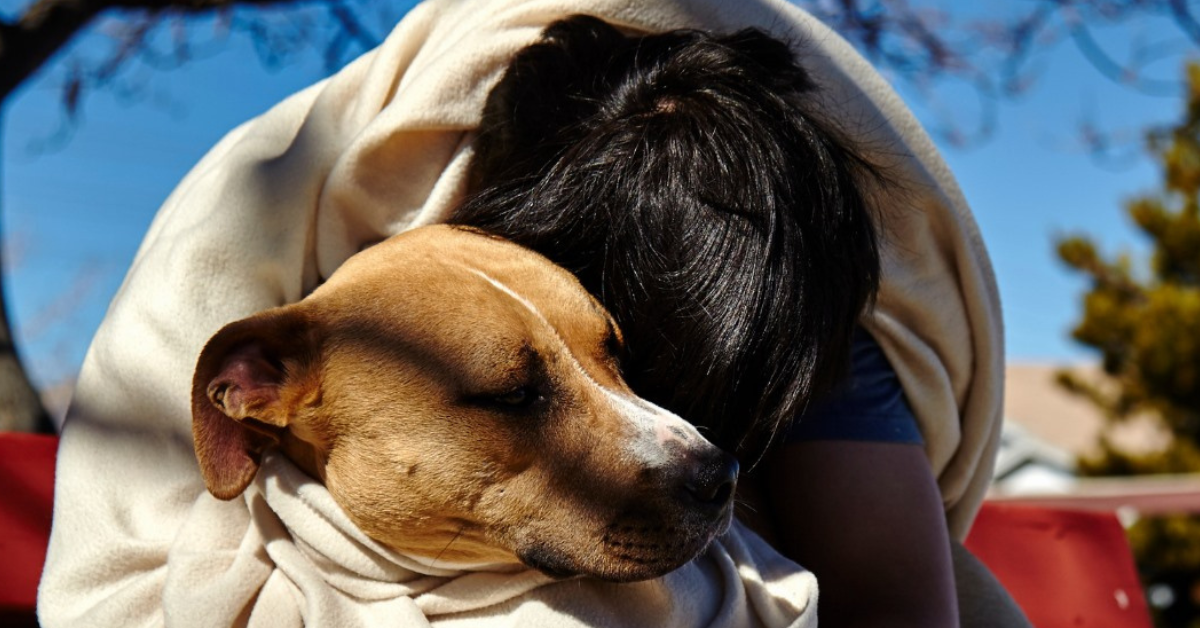 Support for The Arizona Homeless Community and Their Pets