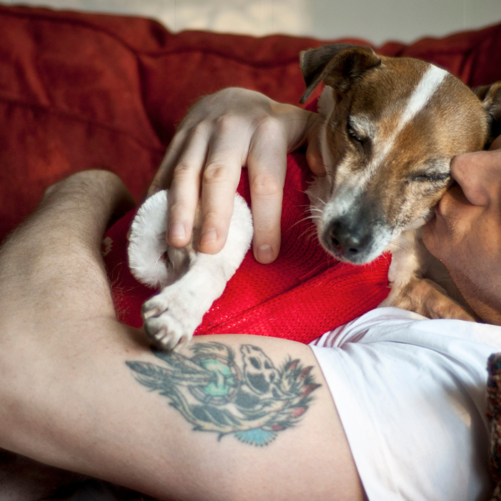 Keeping People and Pets From Facing Homelessness for a Second Time ...