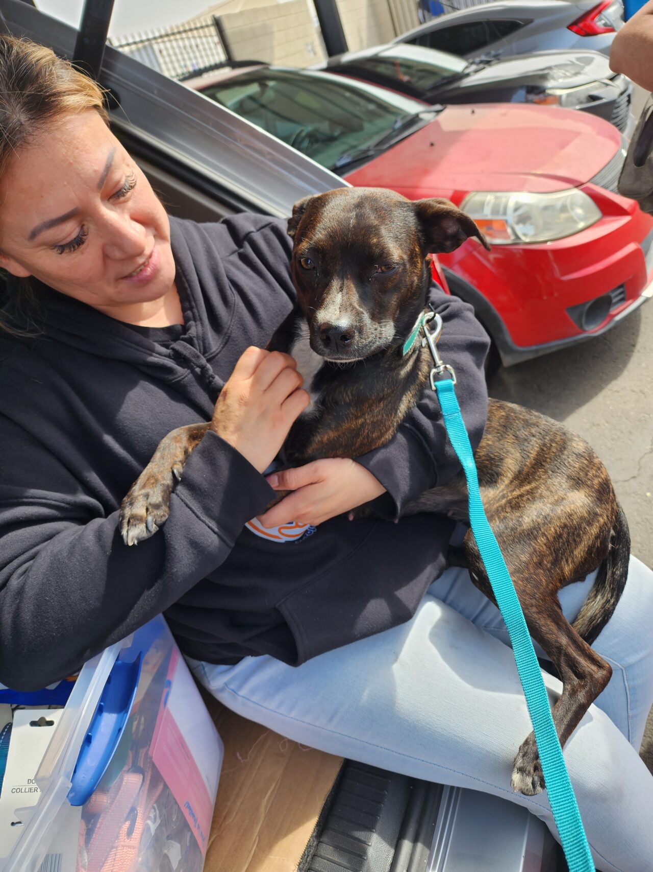 Vaccines, Food, and a Leash for Babygirl! | The Arizona Pet Project