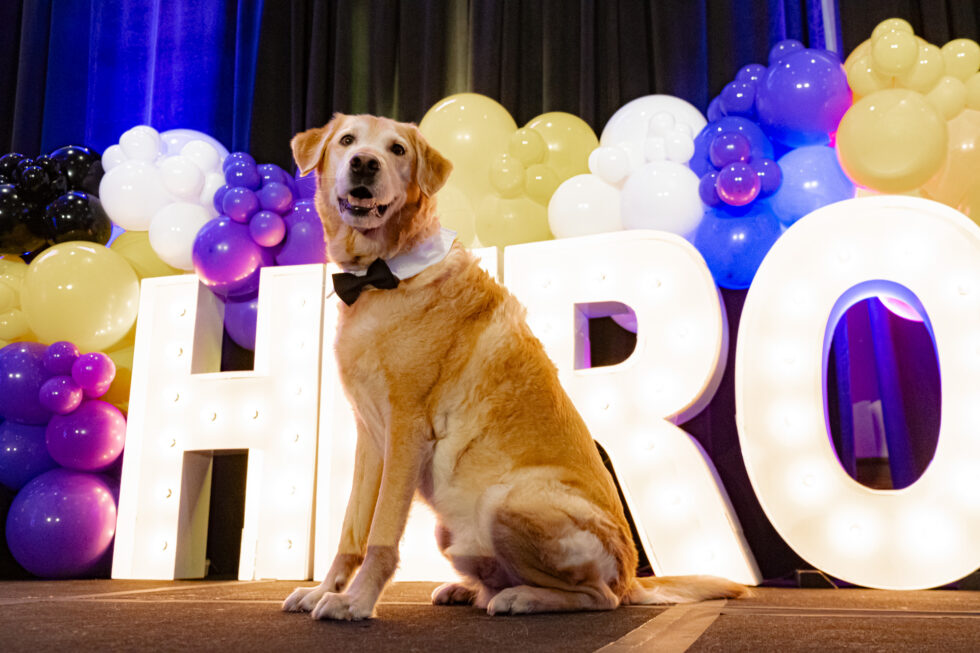 Thank You for Making The 21st Annual HERO Awards a Success! | The ...