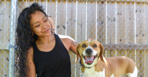 Impact | The Arizona Pet Project