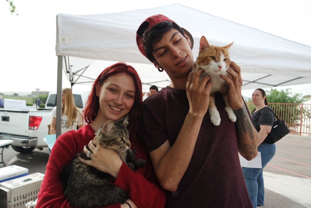 Mercy C.A.R.E.S. Grant Recipient: The Arizona Pet Project | The Arizona ...